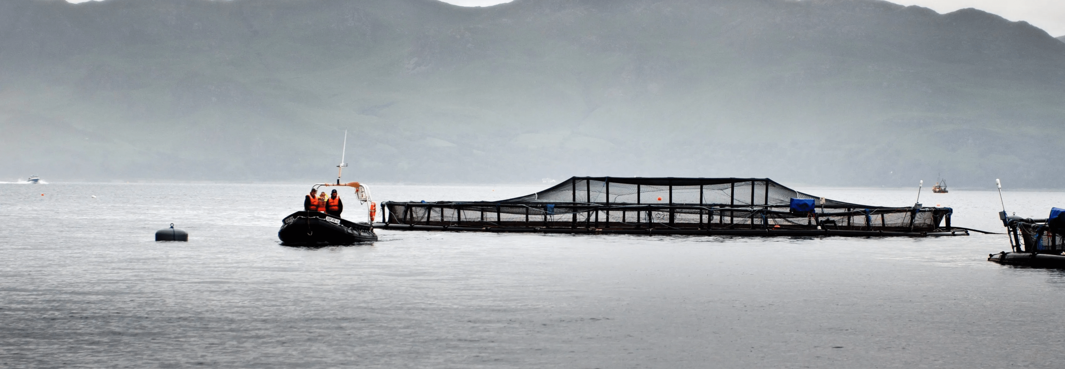 Vaki - VAKI AQUACULTURE SYSTEMS LTD.