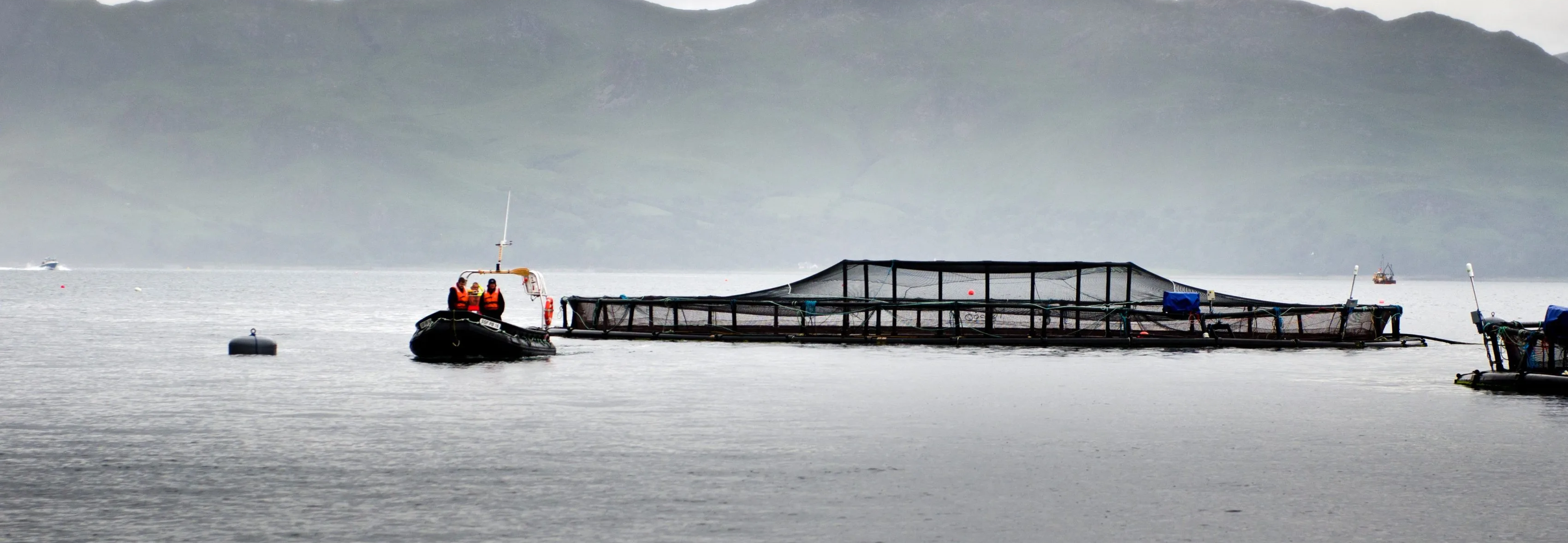 Vaki - VAKI AQUACULTURE SYSTEMS LTD.